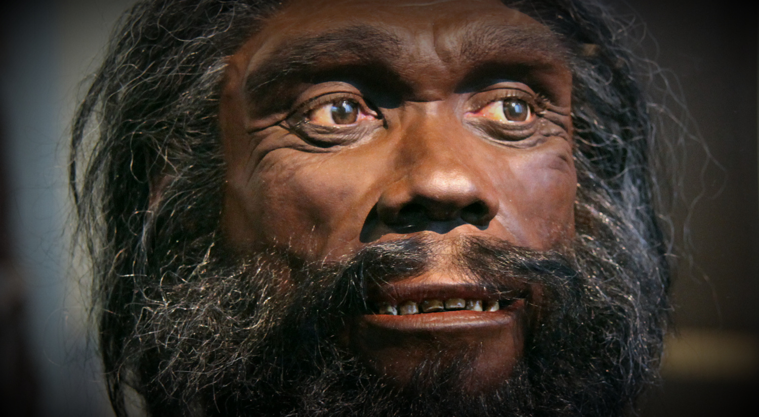 On The Historical Adam – Veritas Journal