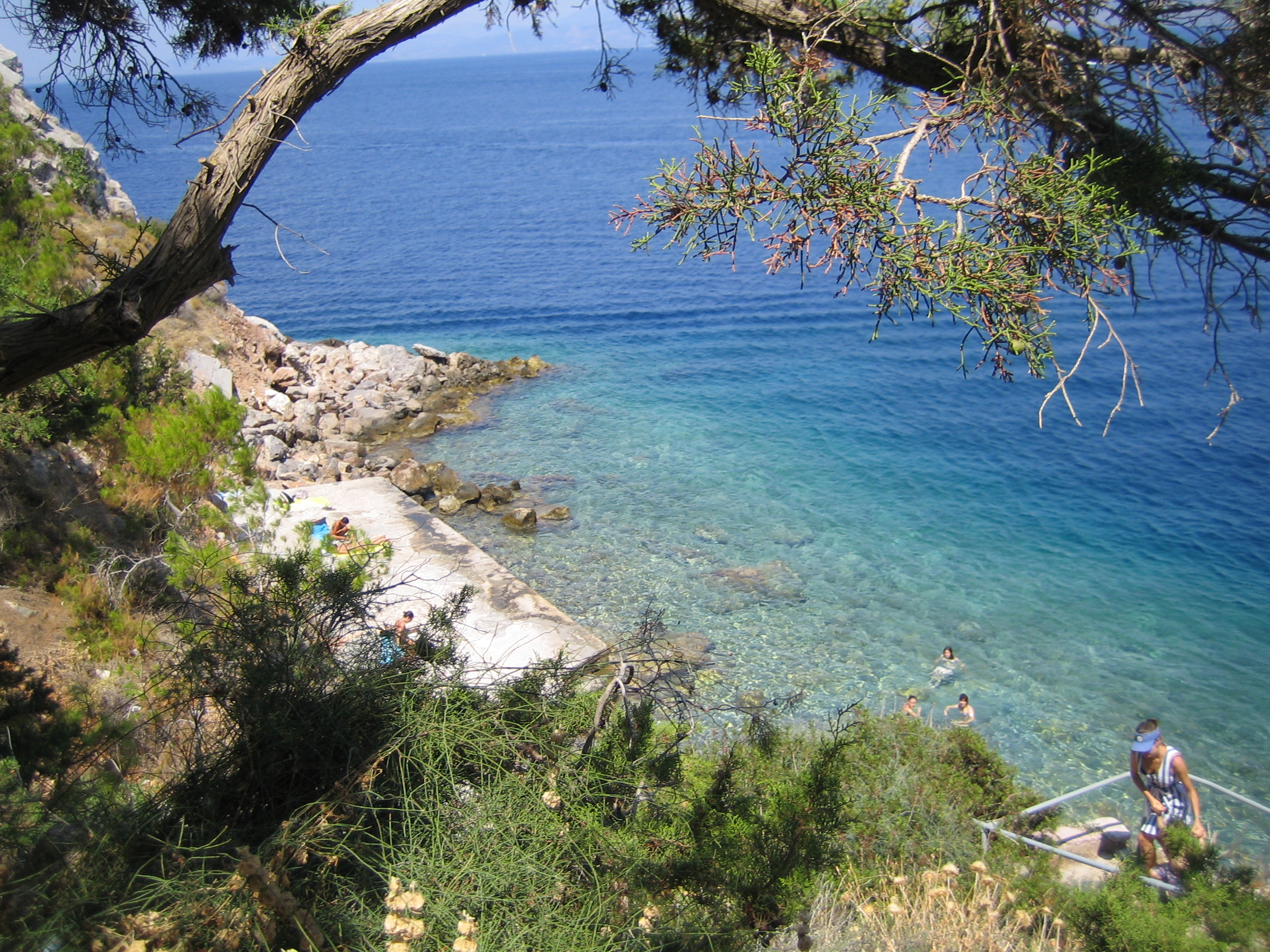 “Aristotle on Lesbos” – Veritas Journal