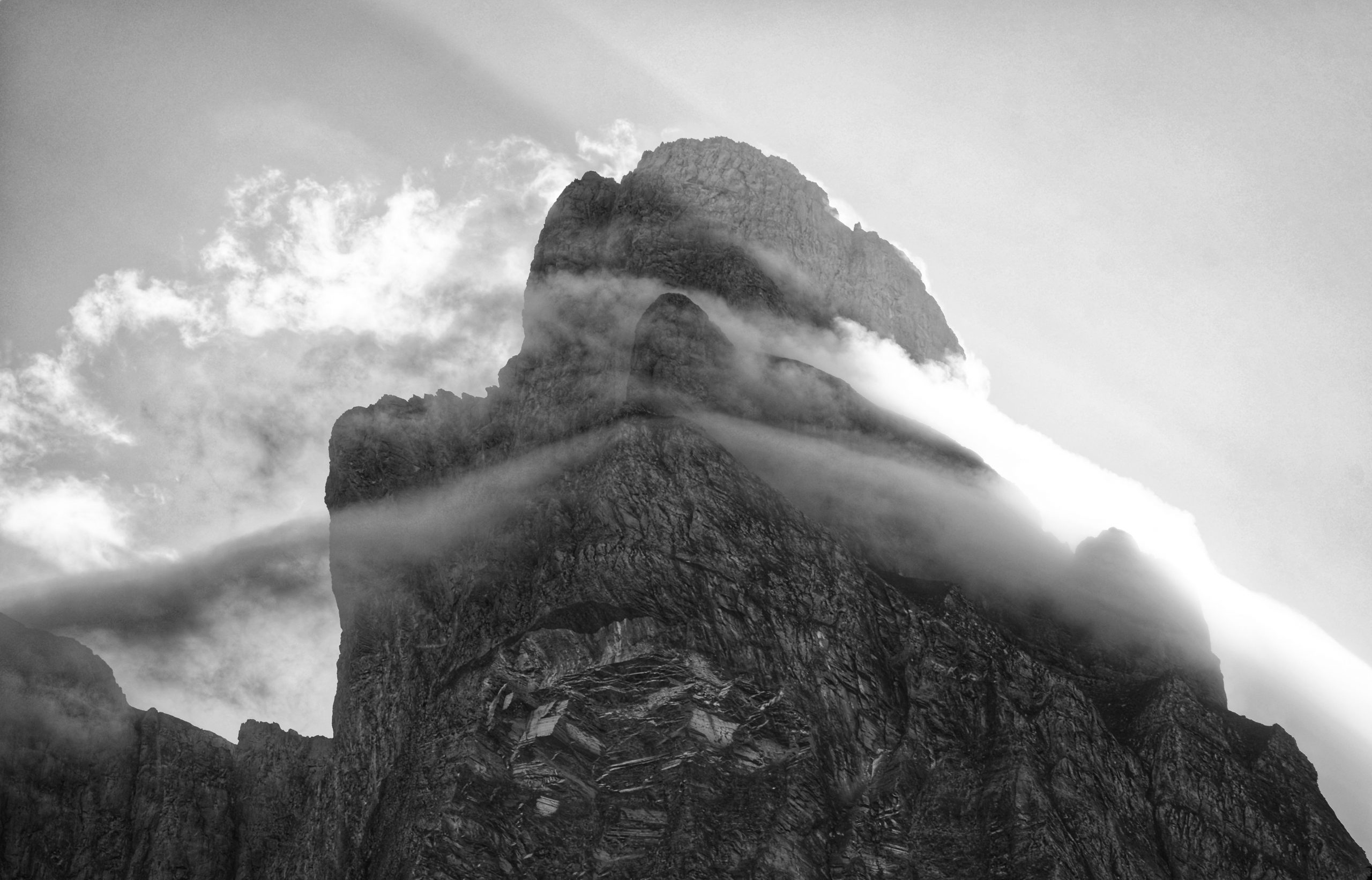 The Courage to Let Things Be – Veritas Journal